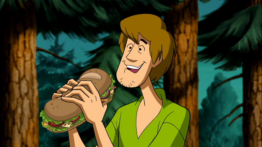 Shaggy Rogers Scooby Doo Camp Scare Wiki