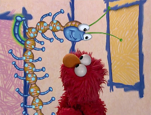 Elmo's World: Bugs - Muppet Wiki
