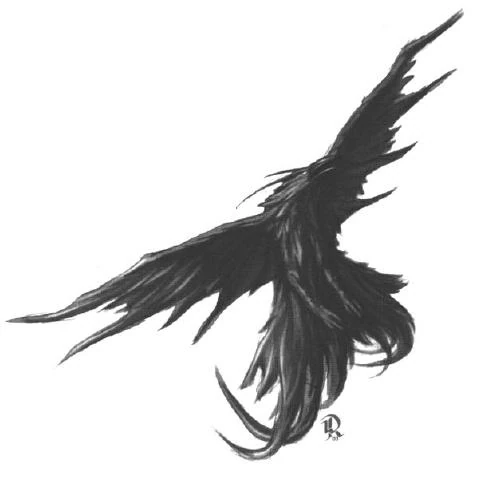Storm crow - WoWWiki - Your guide to the World of Warcraft