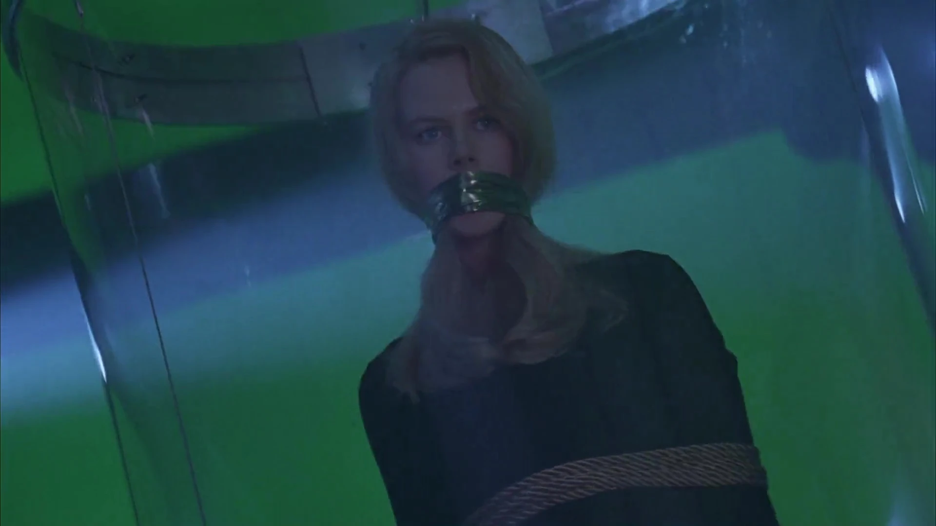 Chase Meridian - Batman Wiki