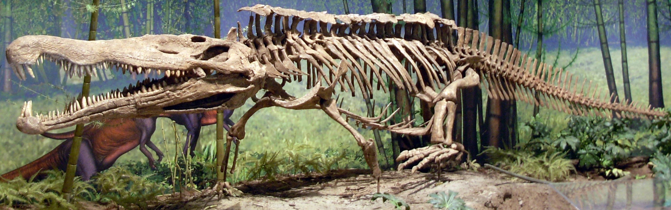 Redondasaurus - Fossil Wiki, the paleontology wiki
