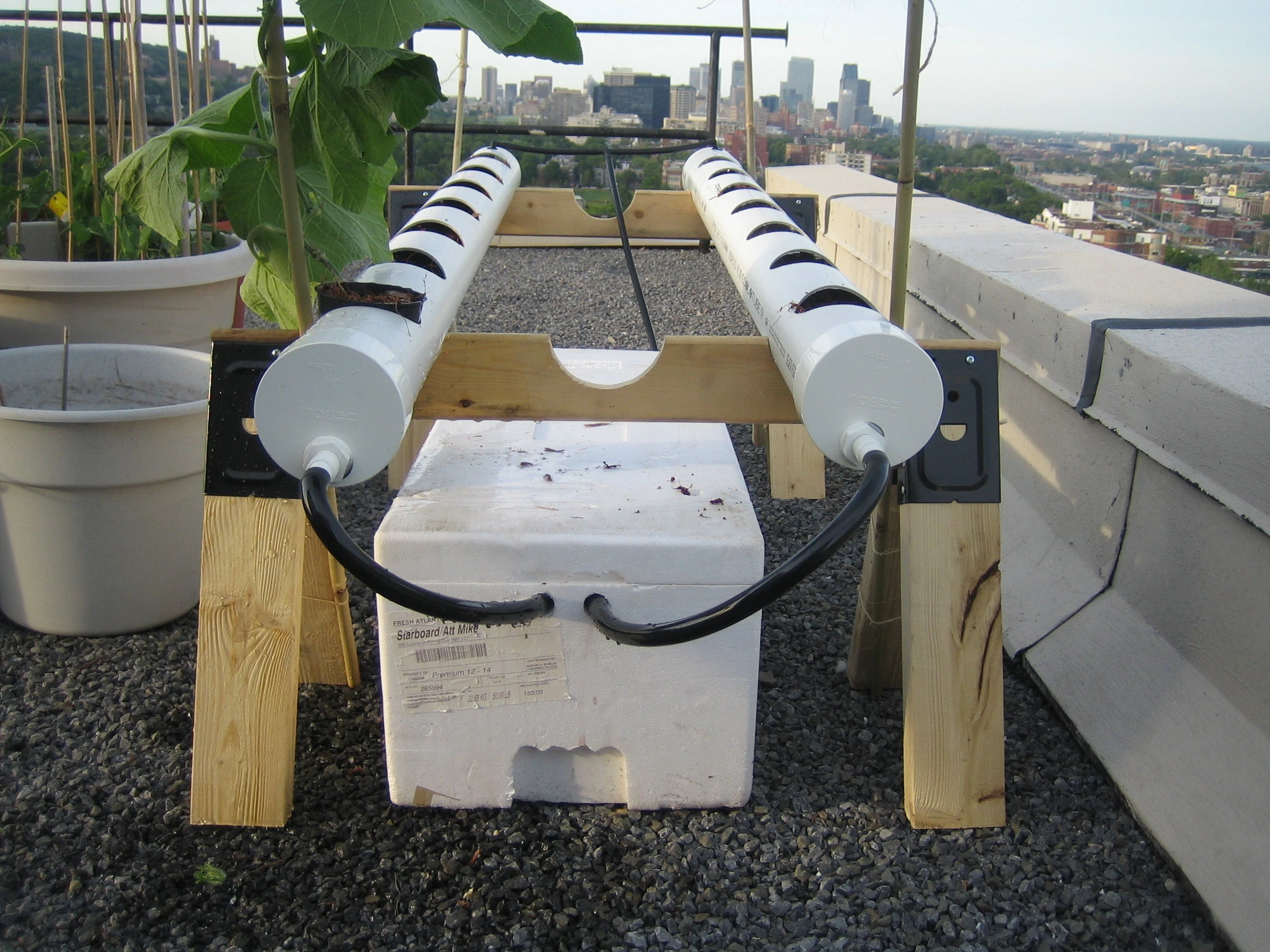 Solar Powered Hydroponics