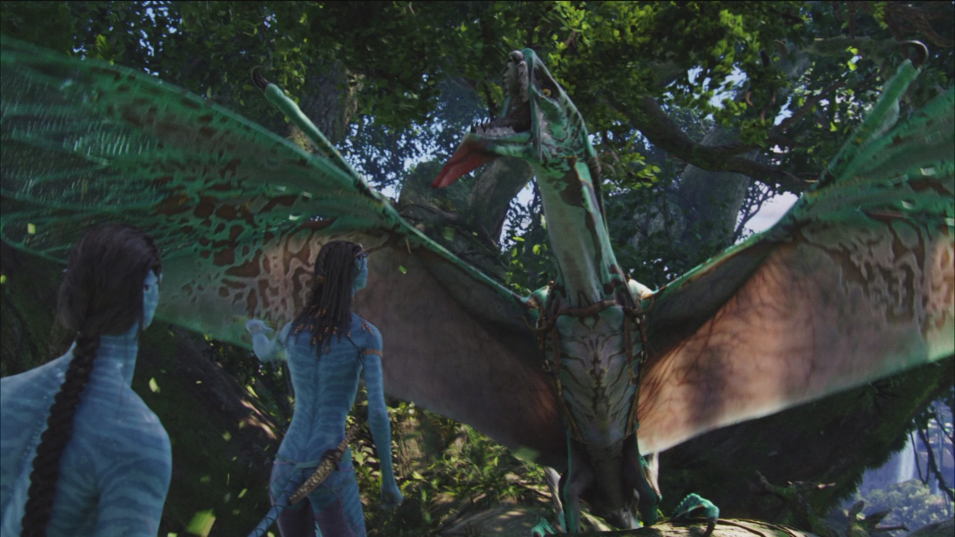 Breathy holes on Toruk