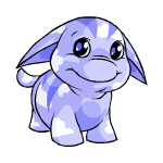 Poogle - Neopets Wiki