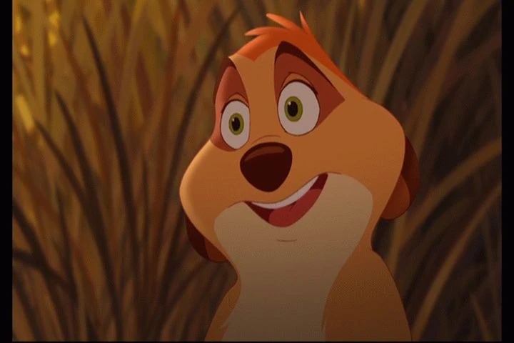 Timon's Mother - Disney Wiki