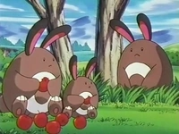 Sentret - WikiDex, la enciclopedia Pokémon