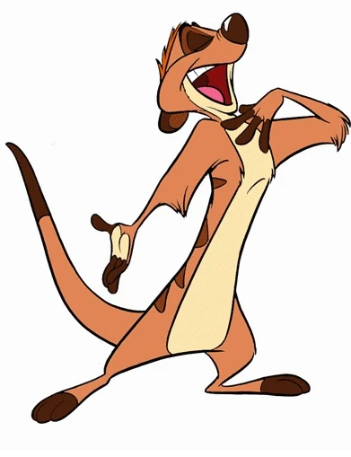 Timon Berkowitz - Meerkats Wiki