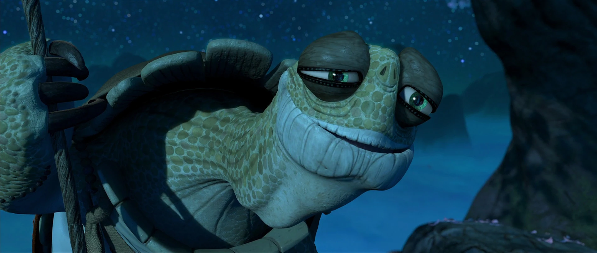 Image - MasterOogway.jpg | Kung Fu Panda Wiki, the online encyclopedia ...
