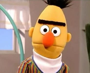 Bert - Wiki Muppets