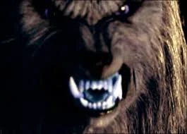 Skinwalker - Lost Tapes Wiki