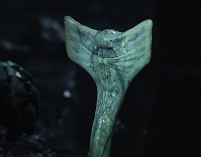 Image - Prometheus-alien-snake.jpg - Paradise Wiki