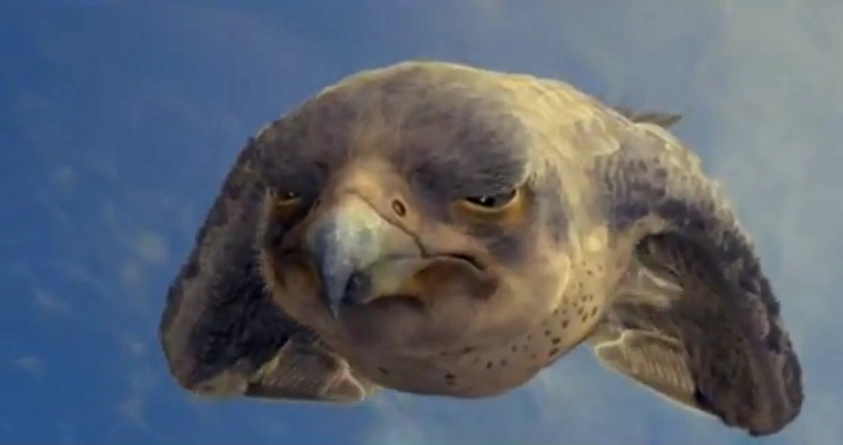 Stuart little falcon - ambernimfa