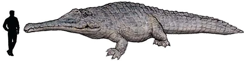 Redondasaurus