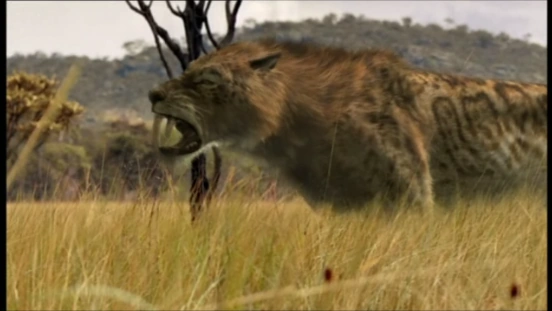 Smilodon - Walking With Wikis - the free Walking with... encyclopedia