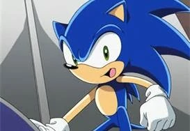 Sonic Winking