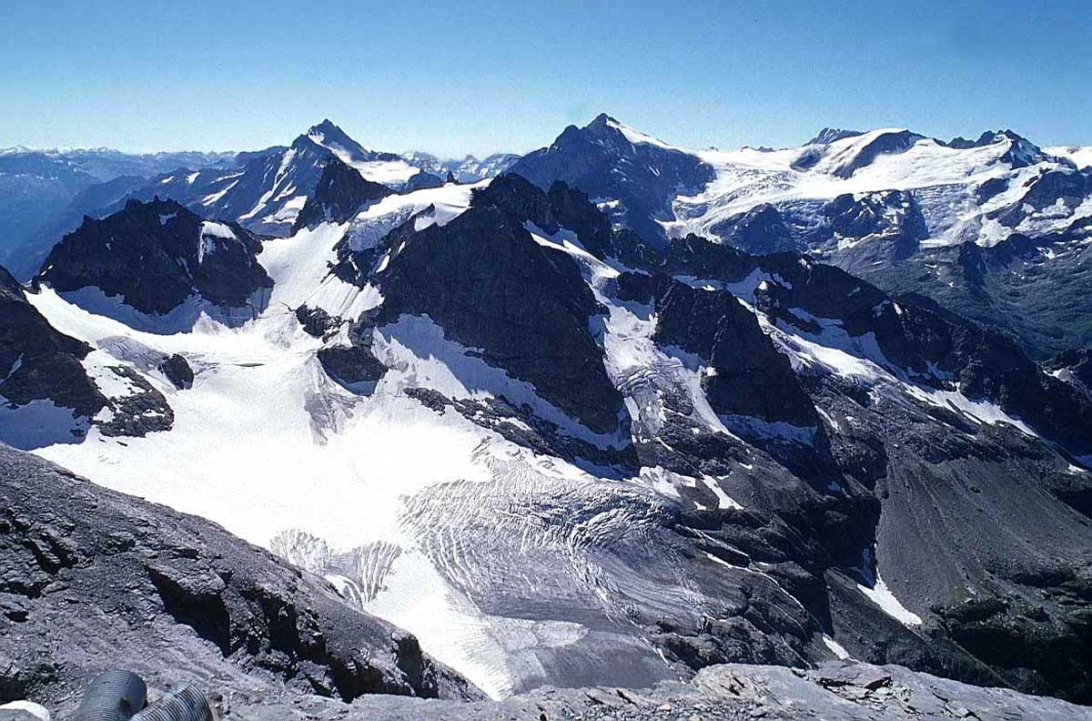 The Amazing Alpine Ecology Blog