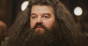Świat Magii i Hogwartu: Rubeus Hagrid